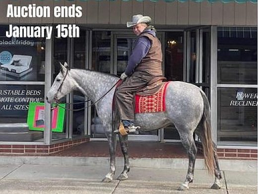 Fancy Broke, Family Safe