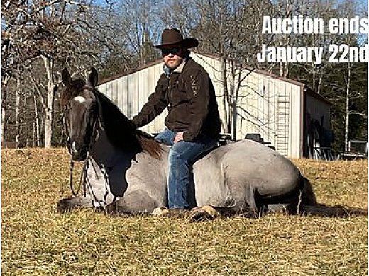 Super Smooth True Blue Roan
