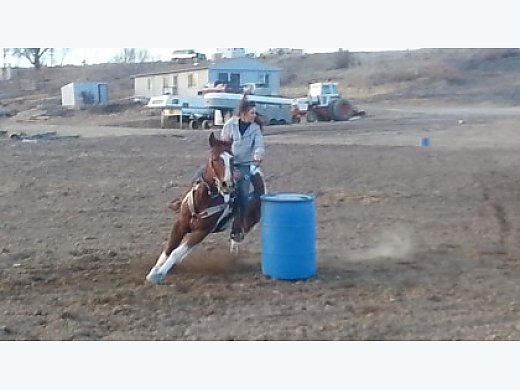 8yr old APHA Gelding 2D Barrels and More