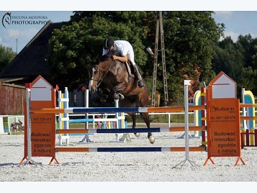 Mare Ready for 140cm!!!