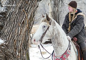 Walkaloosa Gaited Trail Gelding
