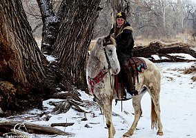 Walkaloosa Gaited Trail Gelding
