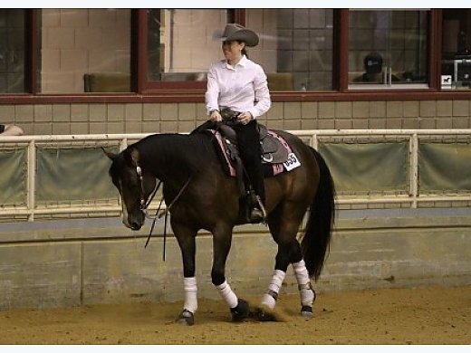 Great Youth/Beginner Reining Horse