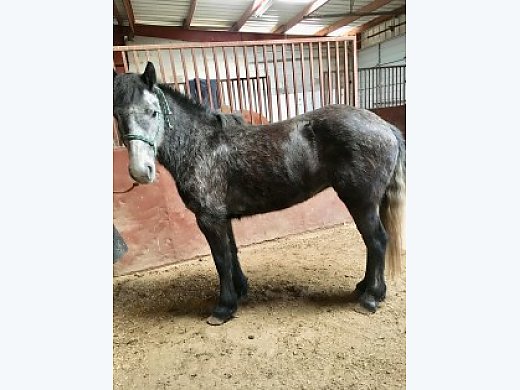 3 Year Of Draft Cross