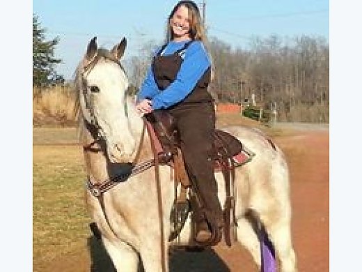 Trail Horse Deluxe! Gorgeous Chestnut Roan TWH Gelding!