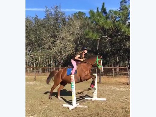 OTTB
