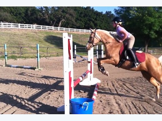 Amazing Jumper for Child Or Adult