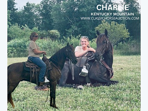 Beginner Safe KY MTN