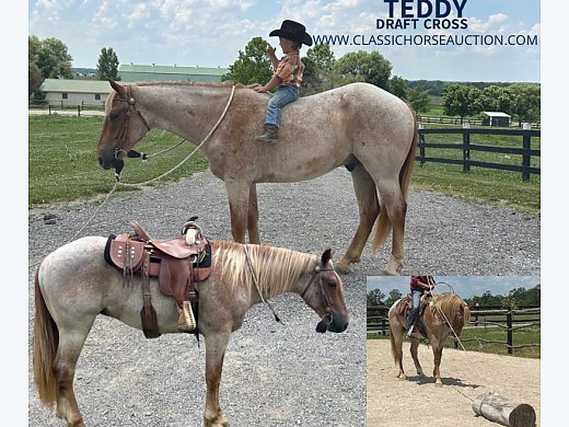 Driving & Riding Draft Cross