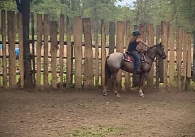 Colt Starting/Horse Training