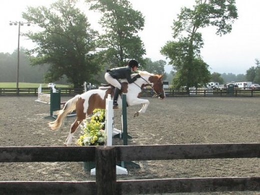 Perfect Large Pony for any kid