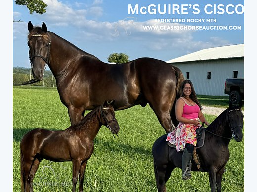 Registered Rocky MTN