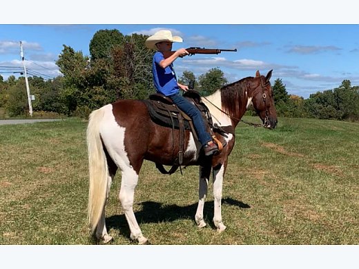 Spotted Saddle Draft Cross
