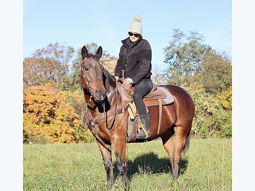 Stunning Draft Cross