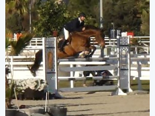 Casmir Z (Carthago Z) X Oklund