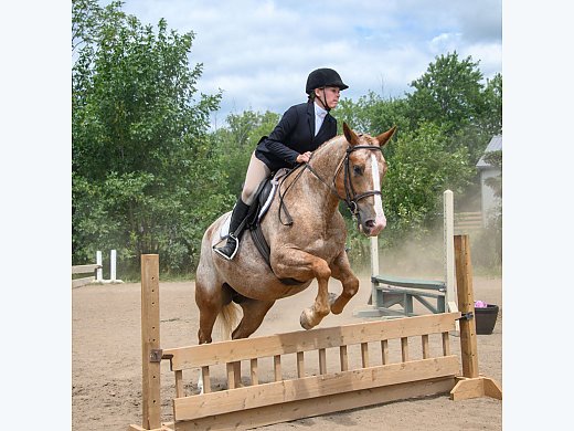 Versatile Draft Cross