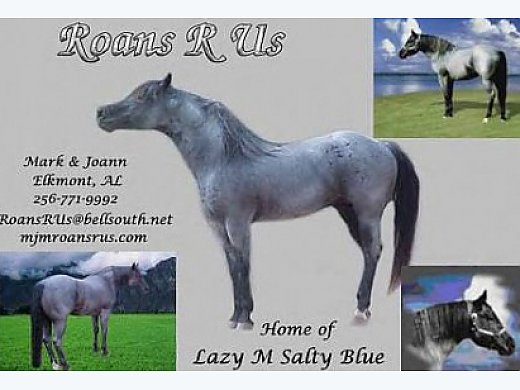Blue Valentine/Hancock Horses 4 Sale