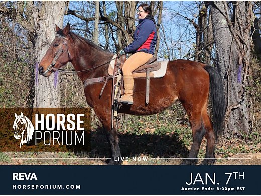 Family Safe Draft Cross